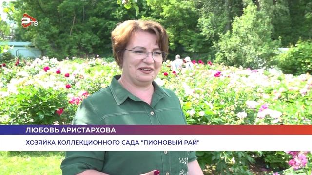 Пионовый Рай Аристарховой Любови