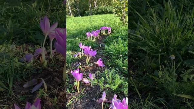 Аффирмации Благодарности выведут на новый уровень