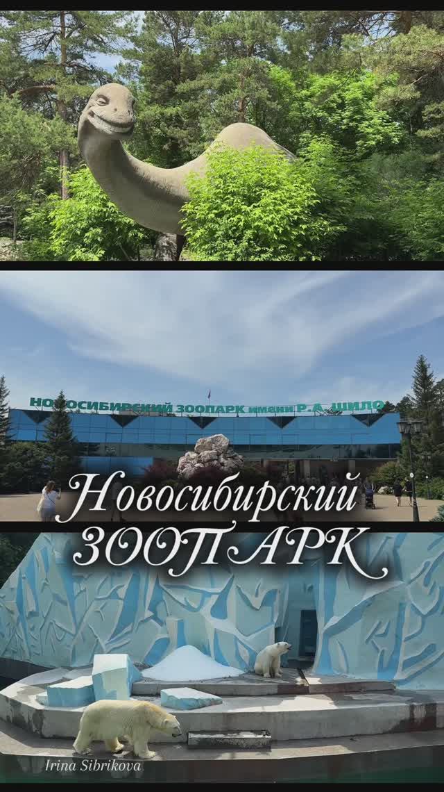 Новосибирский ЗООПАРК 🐾 фламинго, лебеди, белые медведи, леопард, пингвины, обезьяны, капибара...