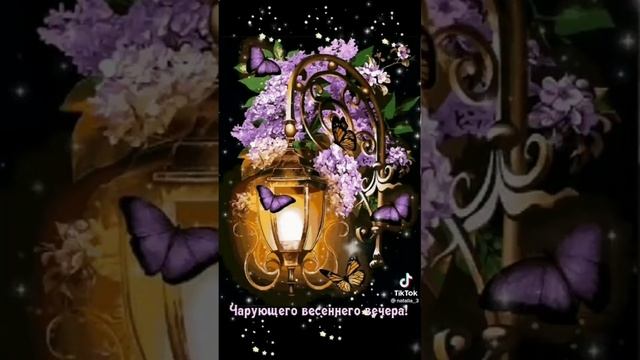 ДОБРОГО ВЕЧЕРА!