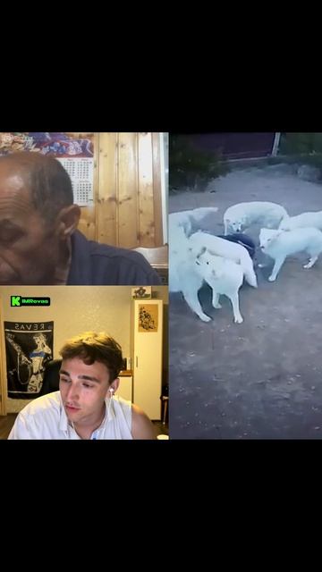 Но почему