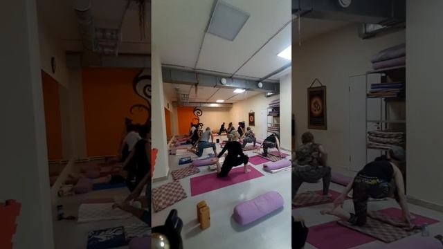 Хатха йога для начинающих. Комплекс для укрепления спины.