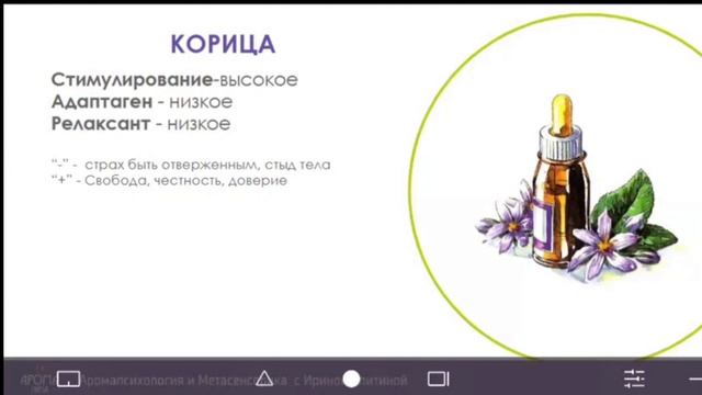 Темная сторона корицы