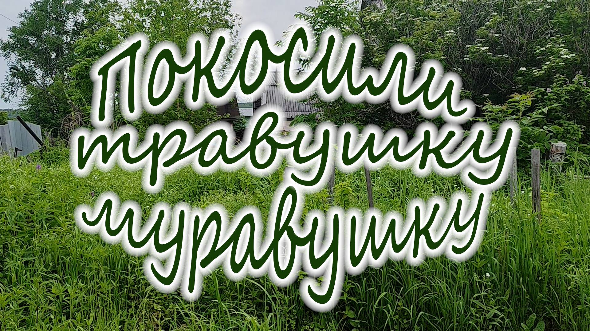 Покосили травушку-муравушку