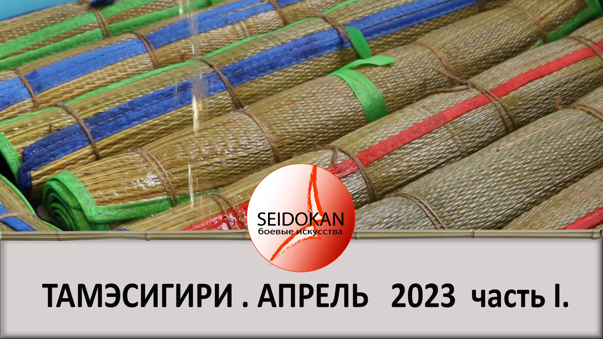 Тамэси апрель2023_часть3