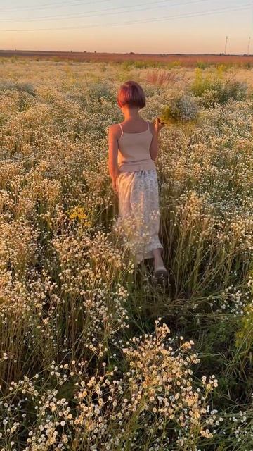 Настало время закатных полевых фотосессий