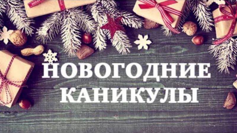Новогодние каникулы #1 / Эльбрус