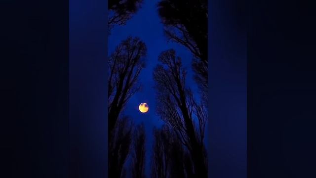 Аранхуэсский концерт  для гитары с оркестром