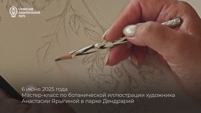 Ботаническая иллюстрация: вдохновение среди цветов