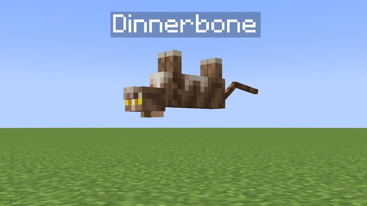 приземлится ли этот кот на лапы?