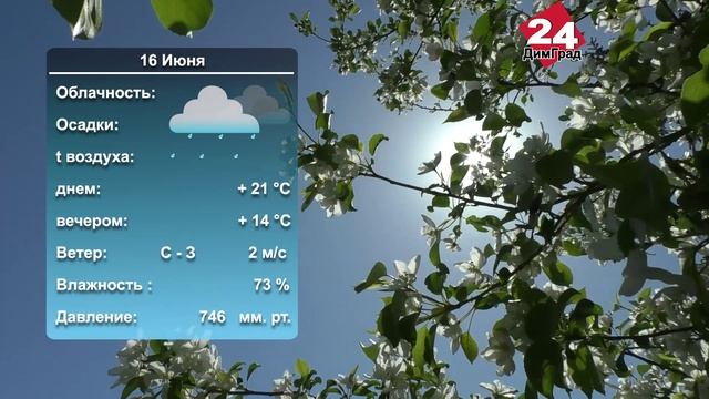 Погода на завтра. 16.06.2025