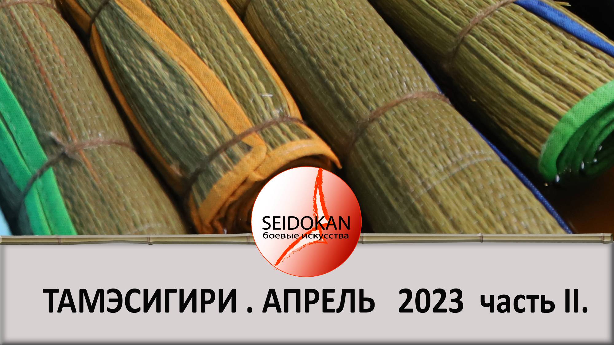 Тамэсигири  апрель2023_часть2_