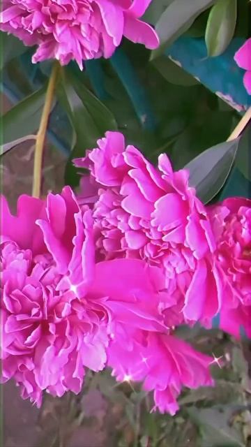 Для настроения)