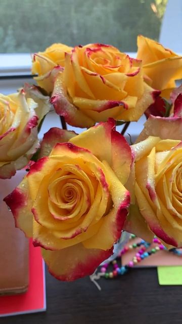 Любимые розы)