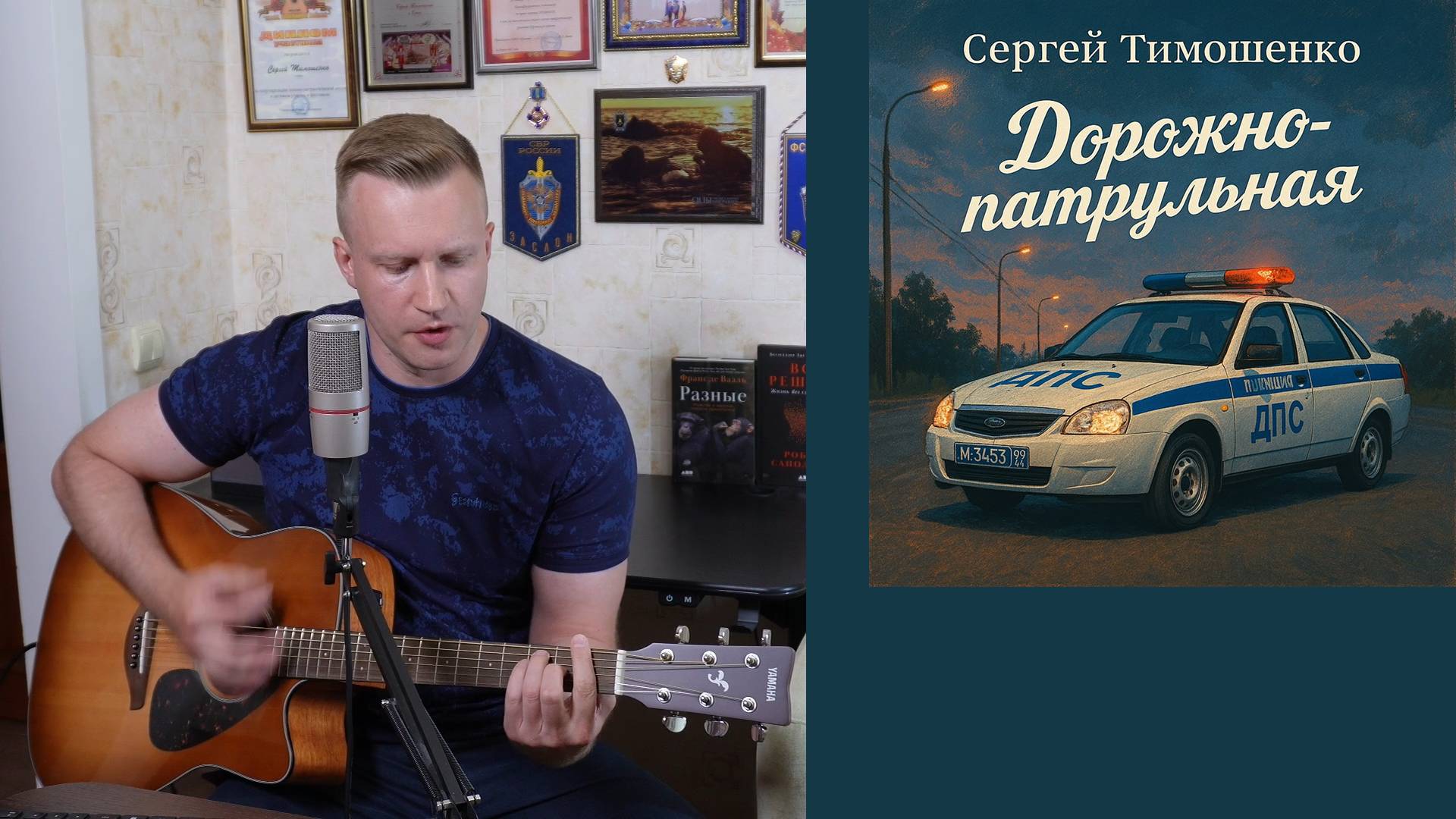 Сергей Тимошенко - Дорожно-патрульная