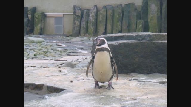 Зоопарк в Праге