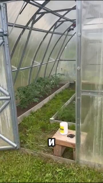 Обзор теплиц с дачного участка. Теплица Дачная-Стрелка