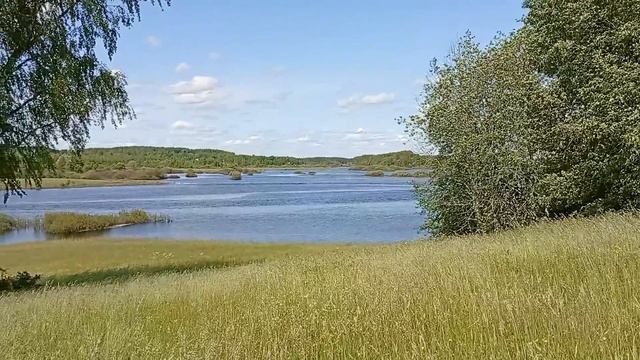Окрестности Михайловского. Вид на реку Сороть.