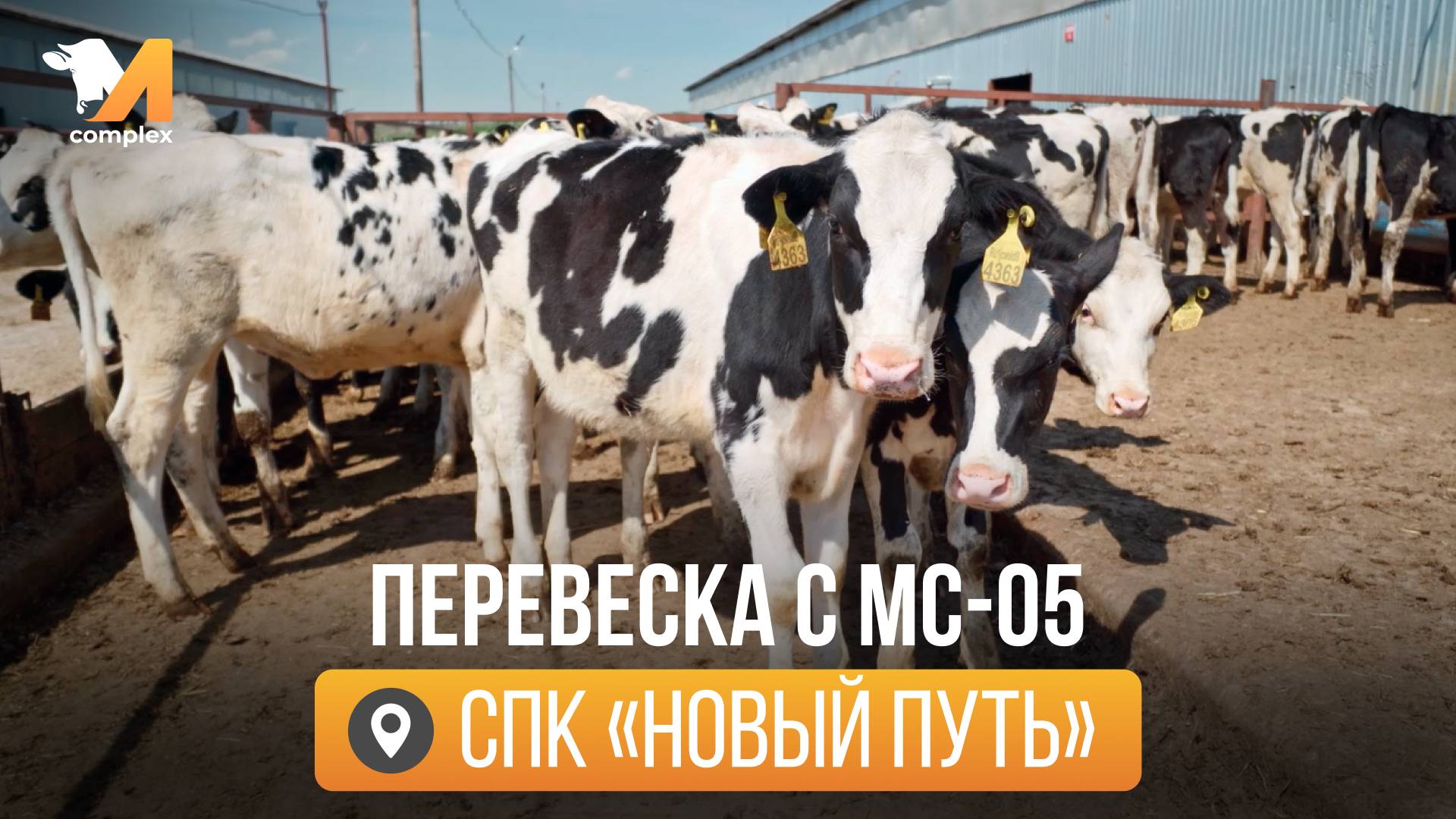 Перевеска с М-комплекс | СПК "Новый Путь"