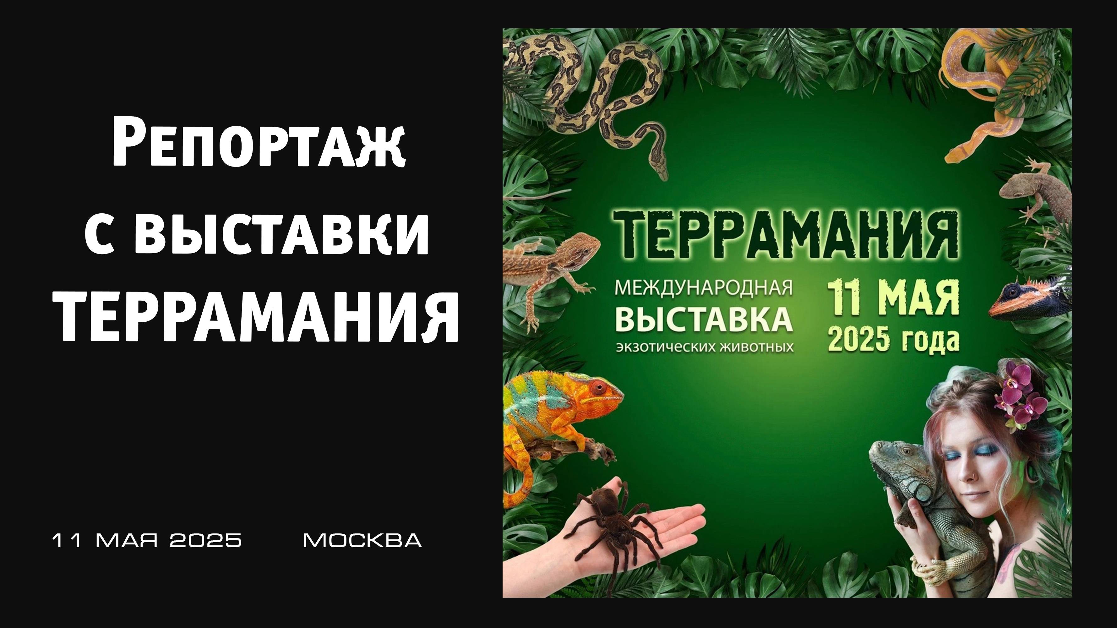 Террамания 11 мая 2025г Москва. Небольшой репортаж с выставки экзотических животных.