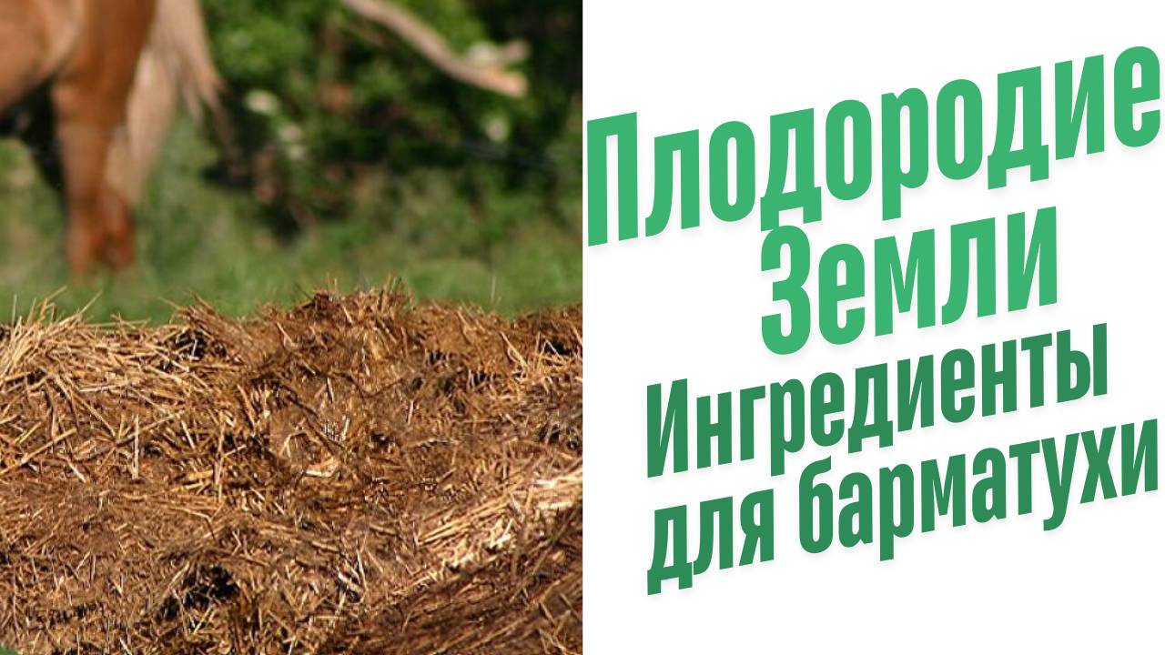 Ингредиенты для Барматухи.