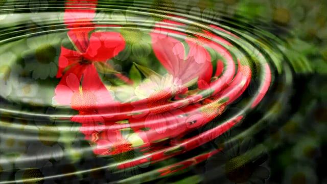 Луиза Хей. 101 Аффирмация для женщин