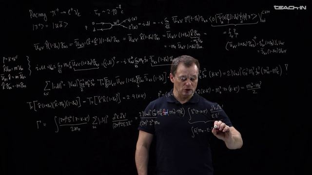 Наумов Д.В. - Стандартная модель - 16. Распад пи-мезона