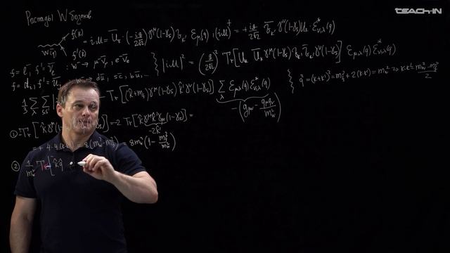 Наумов Д.В. - Стандартная модель - 18. Распады тау-лептонов, W-бозонов и Z-бозонов