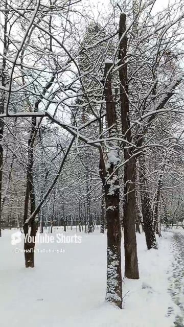 Иду на работу. Стартовая. 2025 год.