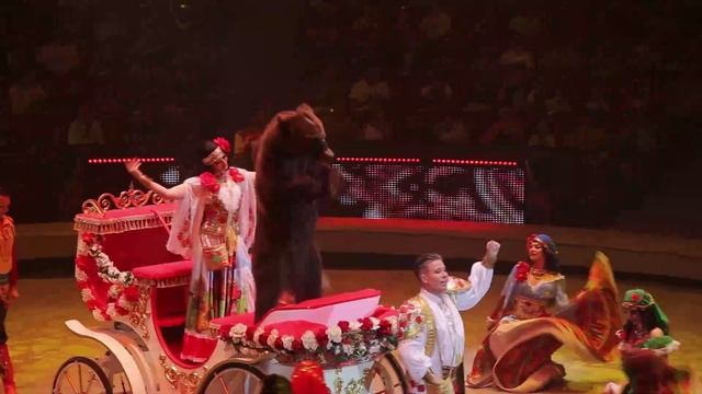 В Саратовском цирке состоялась премьера легендарного шоу "5 континентов"