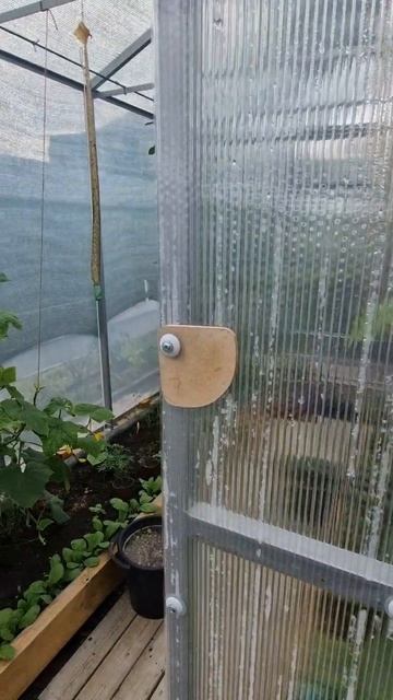 на Юге мы сажаем только ЭТО