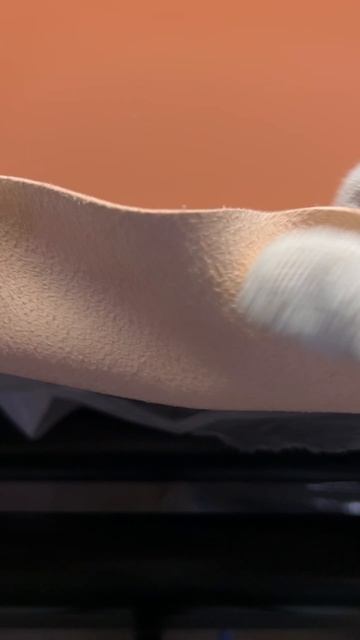 Экокожа Наппа на микрофибре S2593 LR Премиум