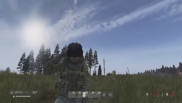 Хромай, но выживай: Играем в DayZ