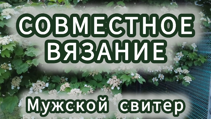 СОВМЕСТНОЕ ВЯЗАНИЕ мужского свитера 3 часть (до вязаное до проймы)