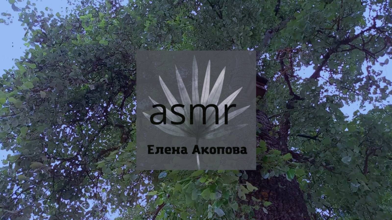 Вы уснёте под сильный шум дождя