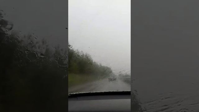 Летний дождь