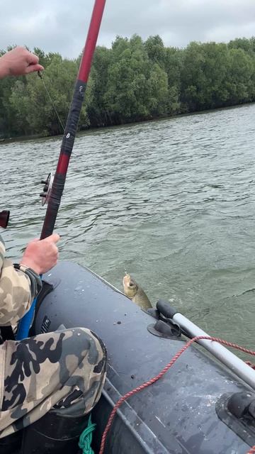 Рыбалка на река Обь 2025