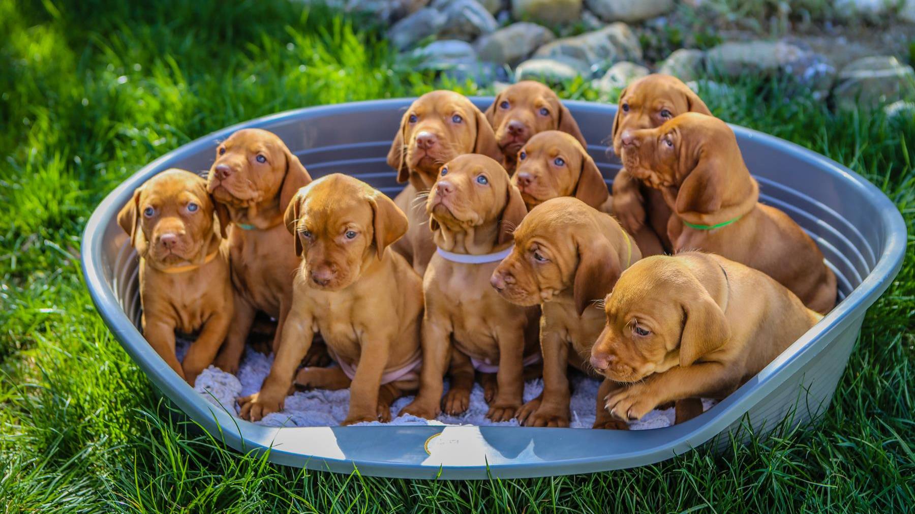 Каждое утро в нашем заведении...Муз. из к/ф Служебный роман