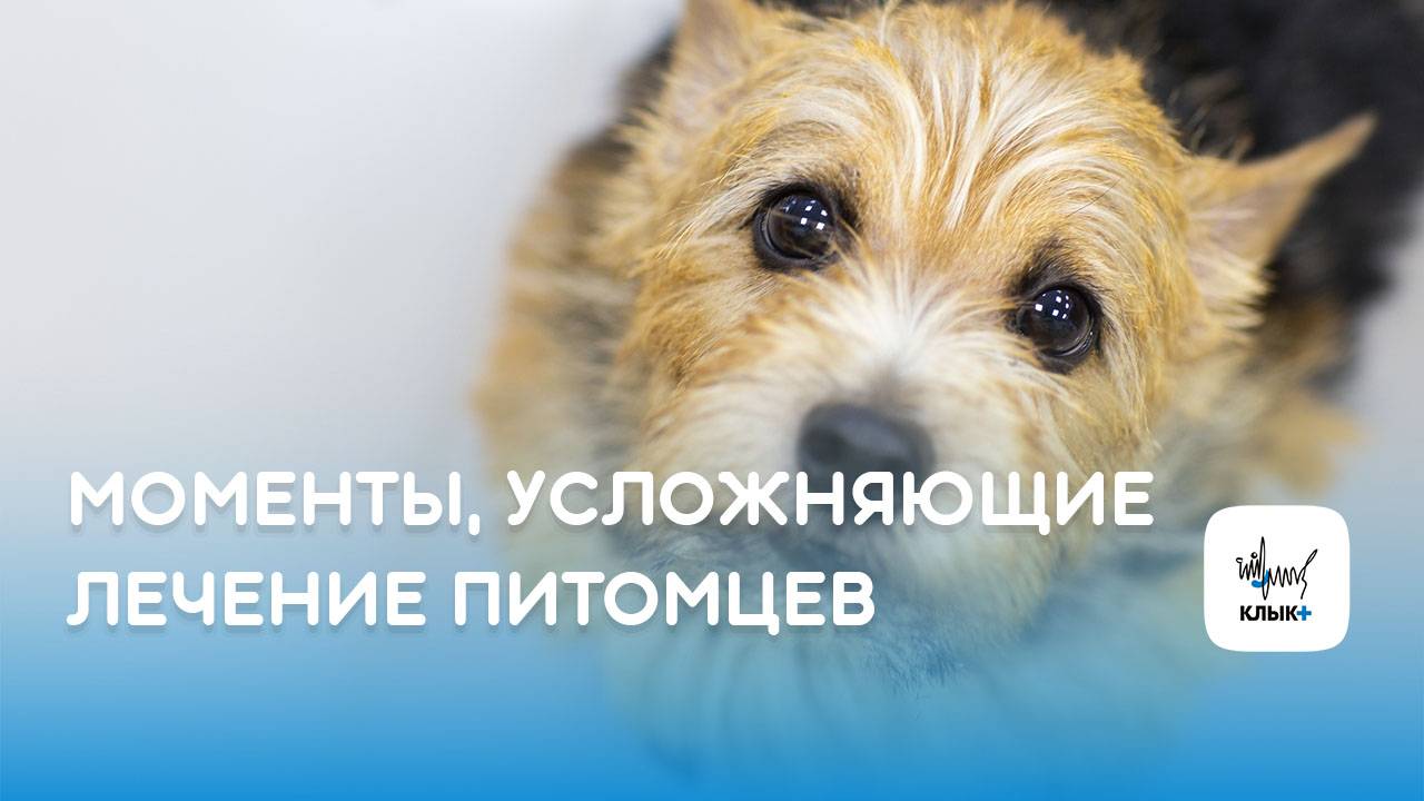 Моменты, усложняющие лечение пациентов