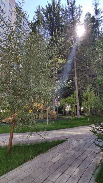 В.Степанов "Встреча"