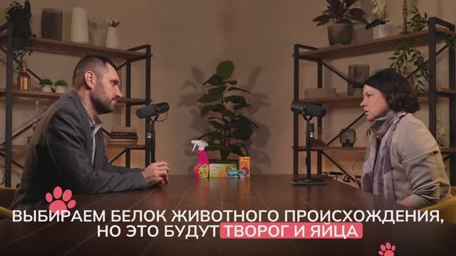 Как порода влияет на питание кошек и котят? | Подкаст Апиценна #5