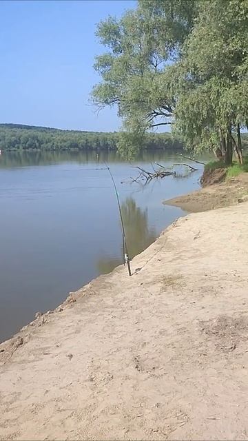 Жара, жара, жара (Remix) (авторская)