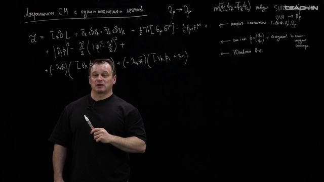 Наумов Д.В. - Стандартная модель - 13. Стандартная модель