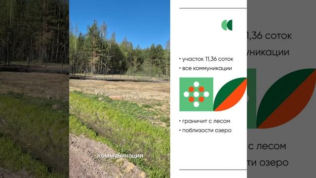 #УчасткиТапио_участок№107