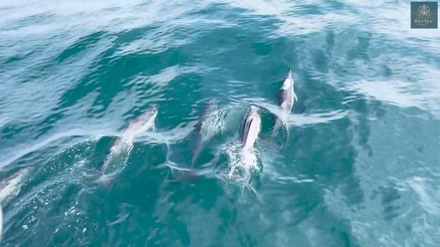 Мы то, что мы произносим | Практика | Татьяна Бекаревич