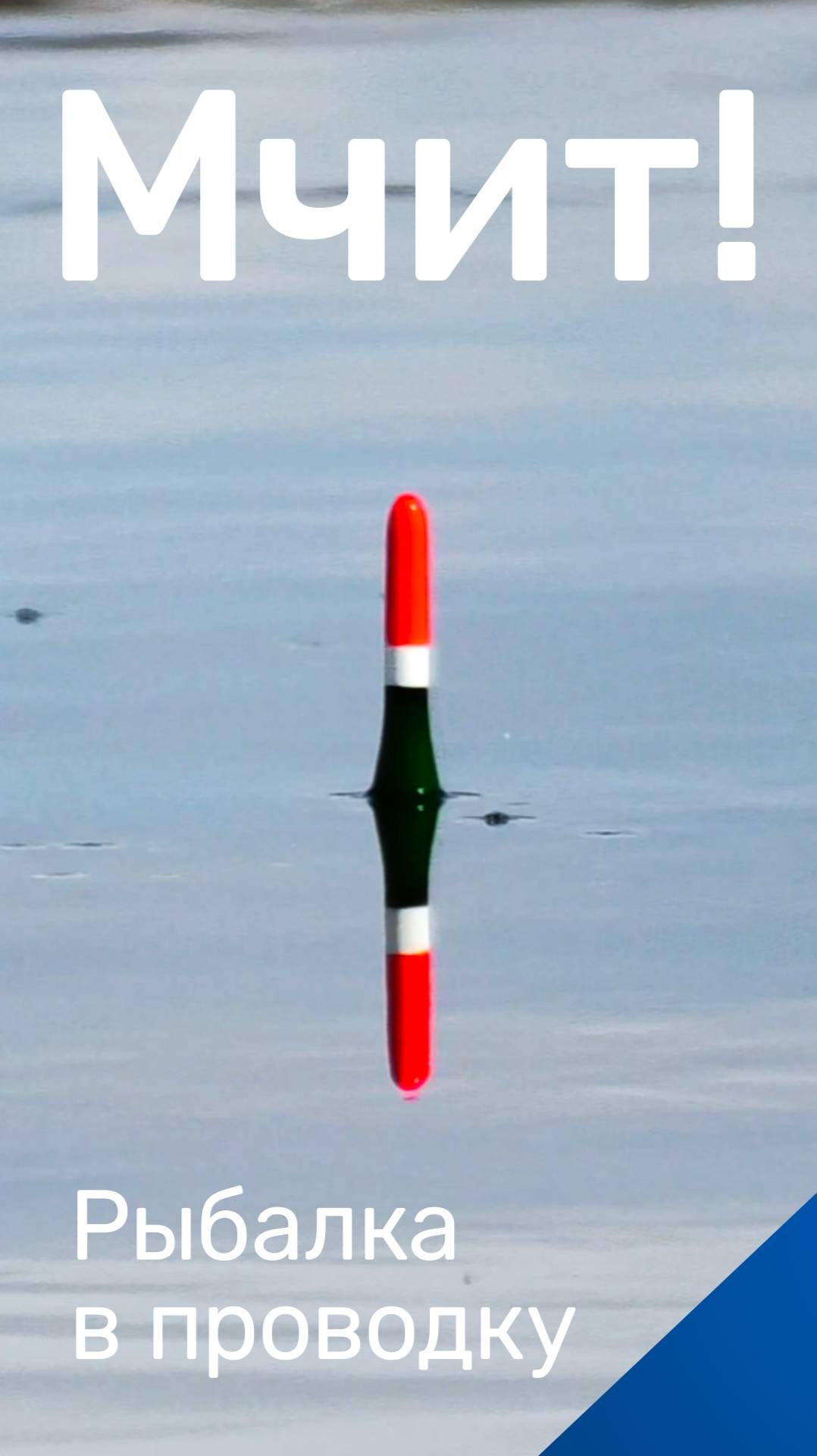 Поплавок мчит / Рыбалка в проводку / Река Тверца