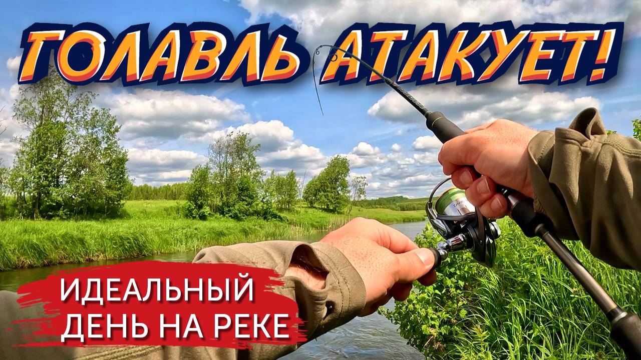 ОТ ТАКИХ ПОКЛЕВОК ЗАМИРАЕТ СЕРДЦЕ! Рыбалка на голавля на малой реке