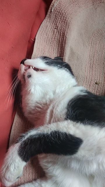 Сладкий сон после бурной ночи