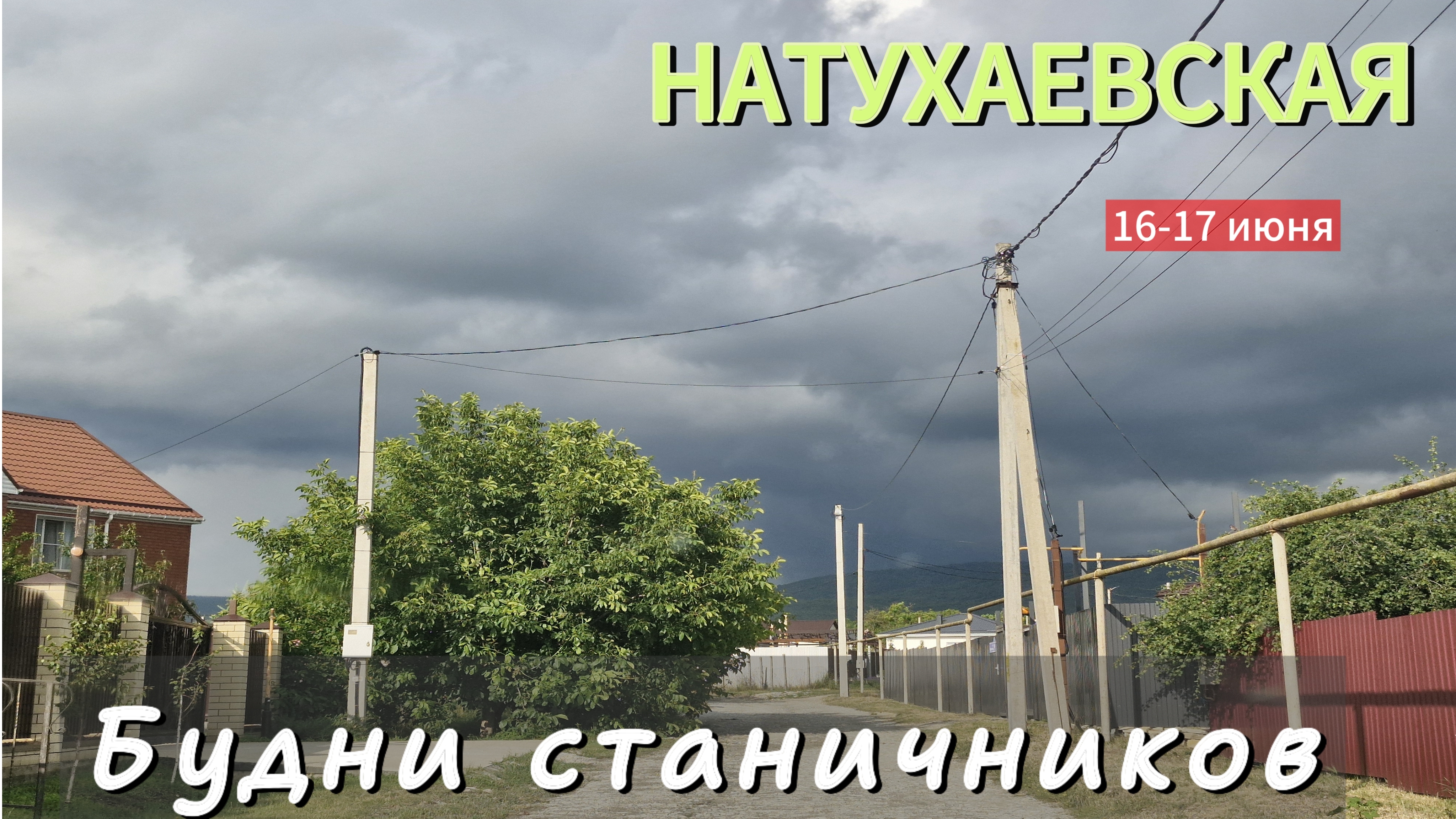 Дождь.Работа.Сетку натягиваем на теплицу.Собираем ЧЕРЕШНЮ.