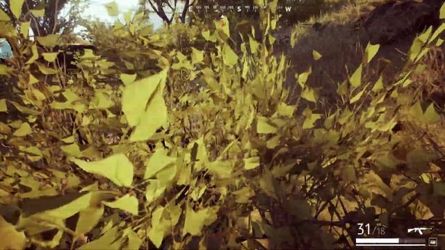 Играю в Vigor #3